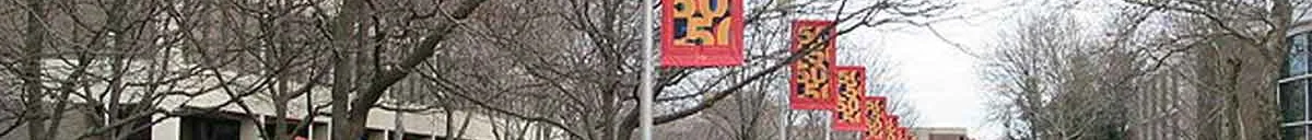 Stony Brook University: Admission 2025-26, Rankings, Fees & Acceptance Rate at SBU