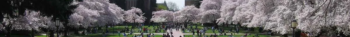 University of Washington Ranking 2026: QS & World Rankings