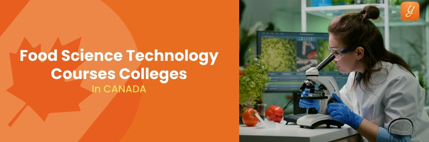 Food Science Courses in Canada: Top Universities, Fees, Requirements ...