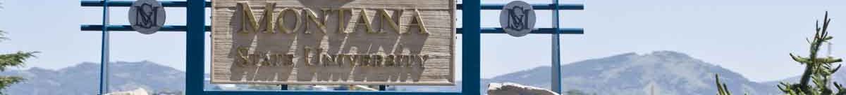 Montana State University at Bozeman: Admission 2025, Rankings, Fees ...