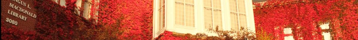 St. Francis Xavier University: Admission 2025, Rankings, Fees ...